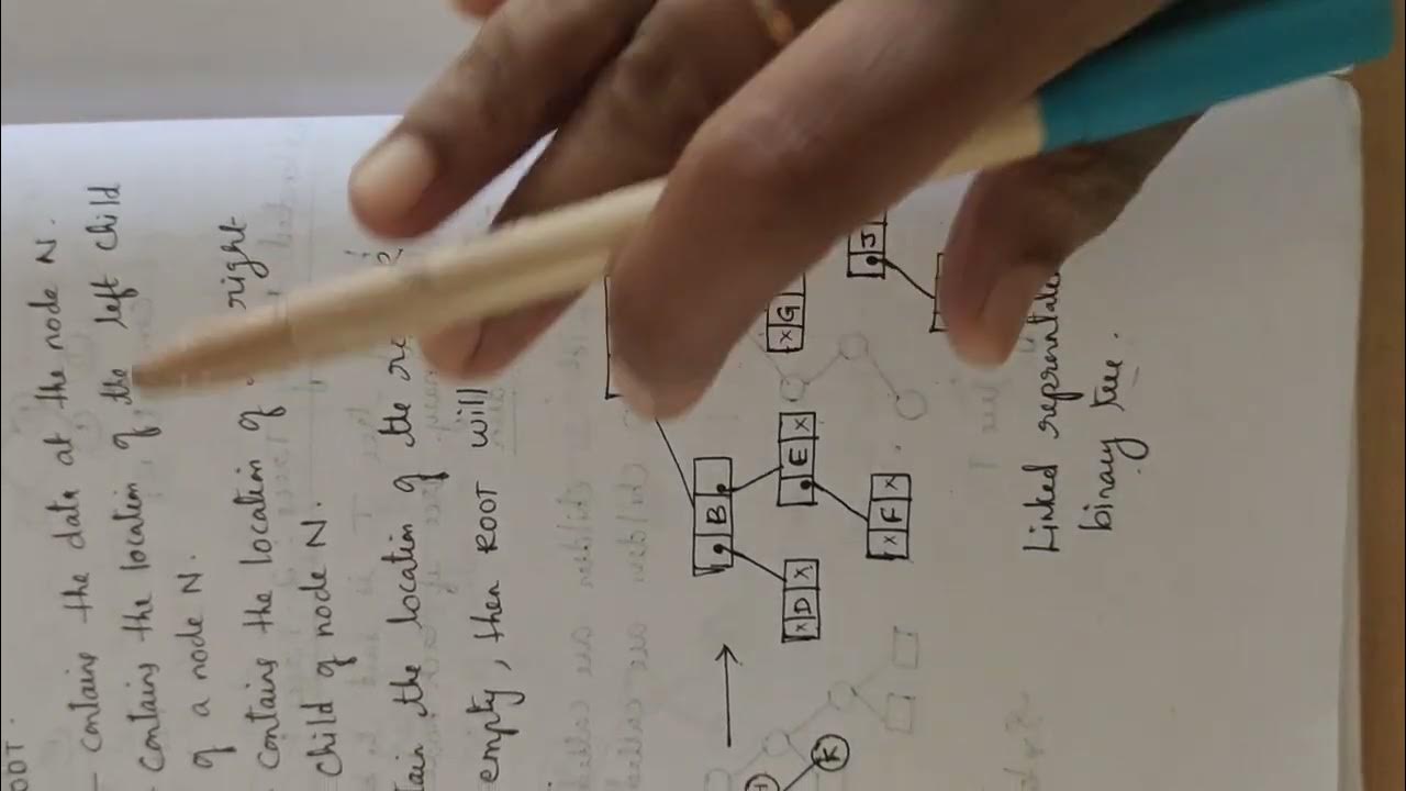 Representation of binary tree - YouTube
