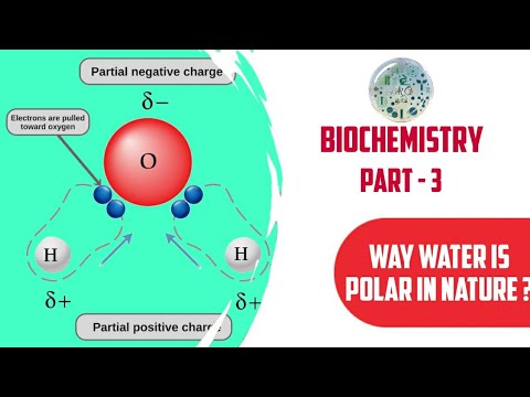 why water is polar in nature/Water/Polar molecule/Dipolar molecule/part ...
