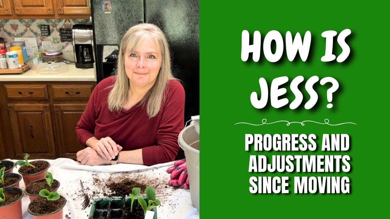 How Is Jess? - Progress and Adjustments Since Moving - YouTube