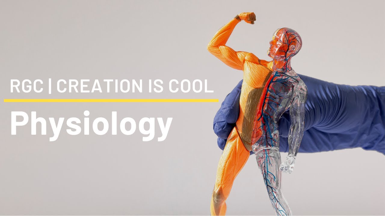 How COMPLEX is the Human Body?!! | Physiology | Creation is Cool - YouTube