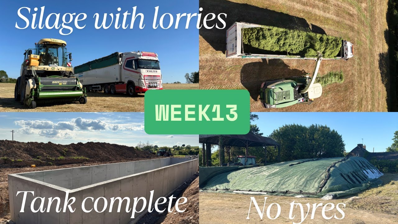 Week 13 - Silage with lorries, covering a pit without tyres & the shed ...