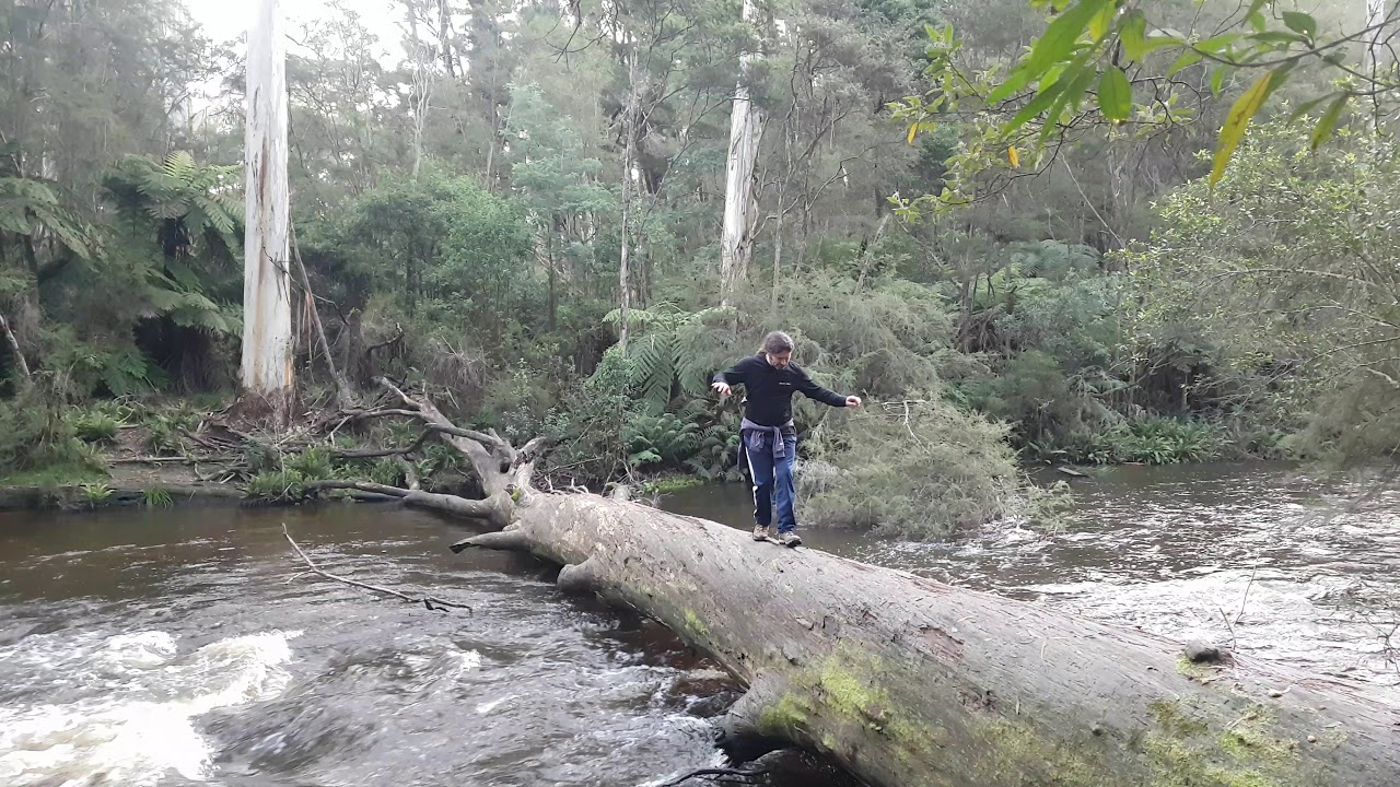 That log was really slippery! - YouTube