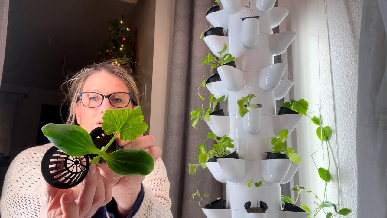 Setting up my first indoor Hydroponic Garden -1 - YouTube