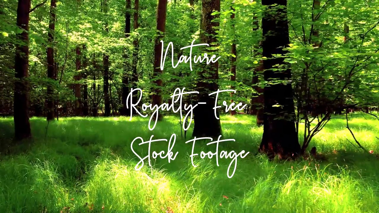 15 Beautiful Nature Stock Fotage Royalty Free||No Copyright||Free ...