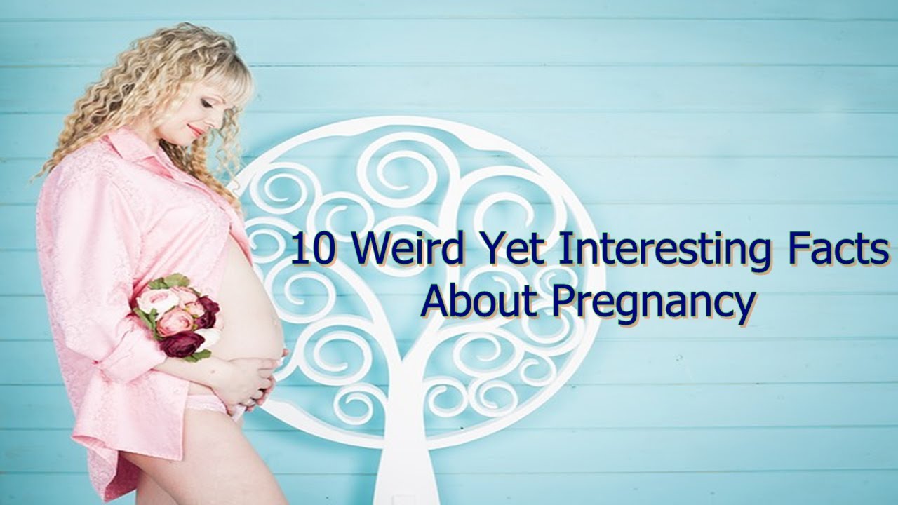 Pregnancy Facts 10 Weird Facts About Pregnancy YouTube pregnancy-facts-10-weird-facts-about-pregnancy-youtube