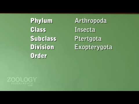 systematic position - YouTube