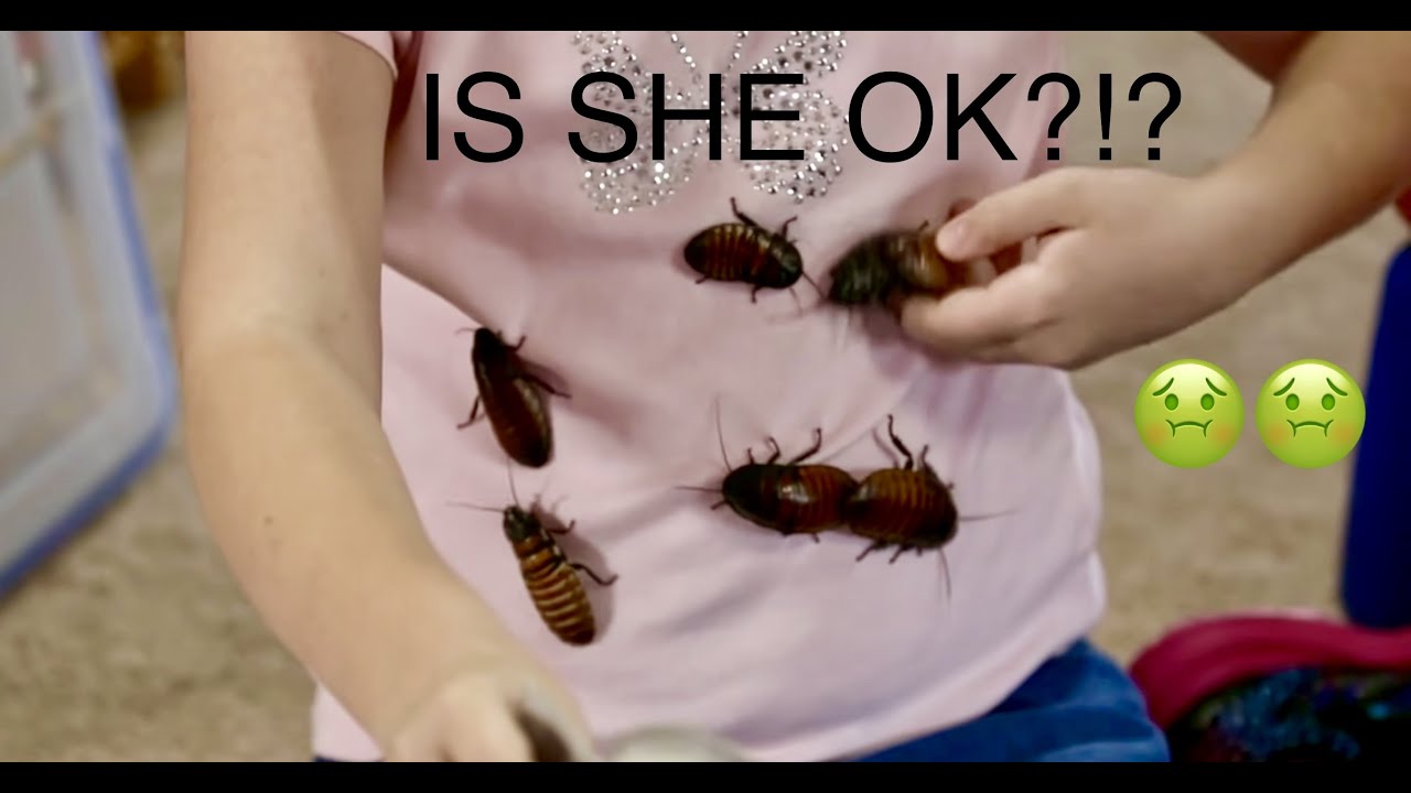 This girl is OBSESSED with COCKROACHES - YouTube