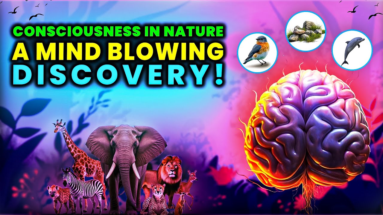 Universal Consciousness Explained: Animal Consciousness Experiment ...