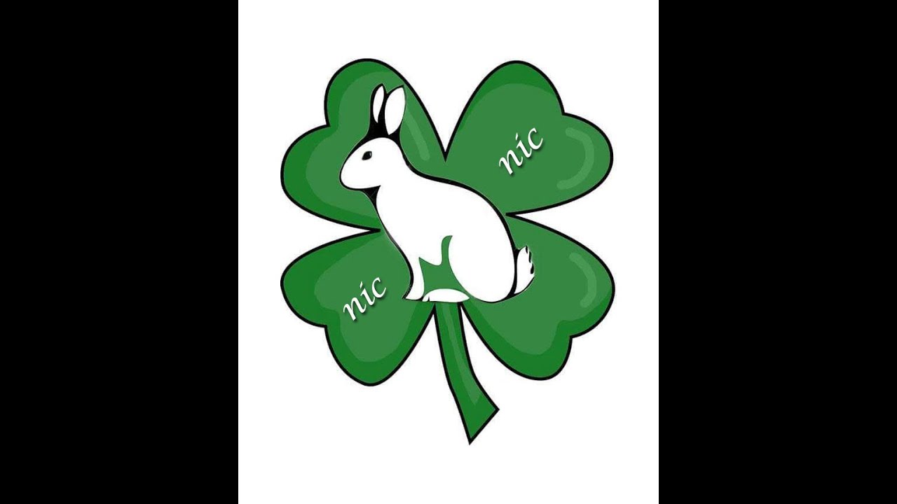 My compost tea under a microscope...Recipe #9 - YouTube