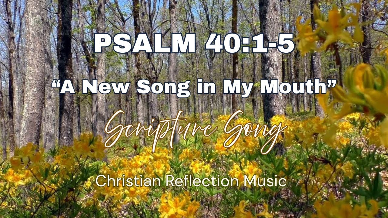 🎵 A NEW SONG IN MY MOUTH – Psalm 40 (KJV) | Christian Reflection Music ...