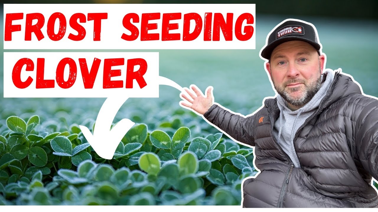 The Secrets To Clover Frost Seeding: Insider Tips 2025 - YouTube