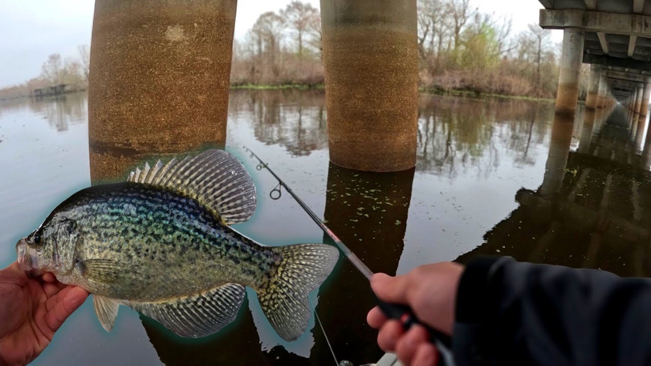 CRAPPIE (sac-a-lait) Bridge Fishing | Atchafalaya Basin - YouTube