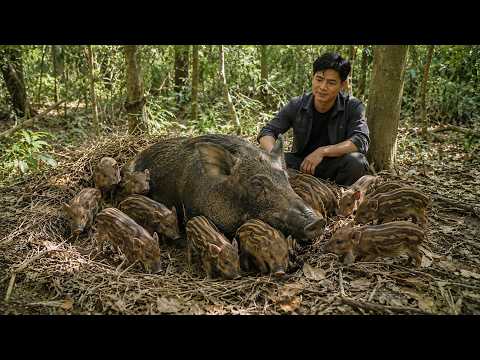 CEO leaves city for the Countryside: Welcoming a new litter of Wild Boars