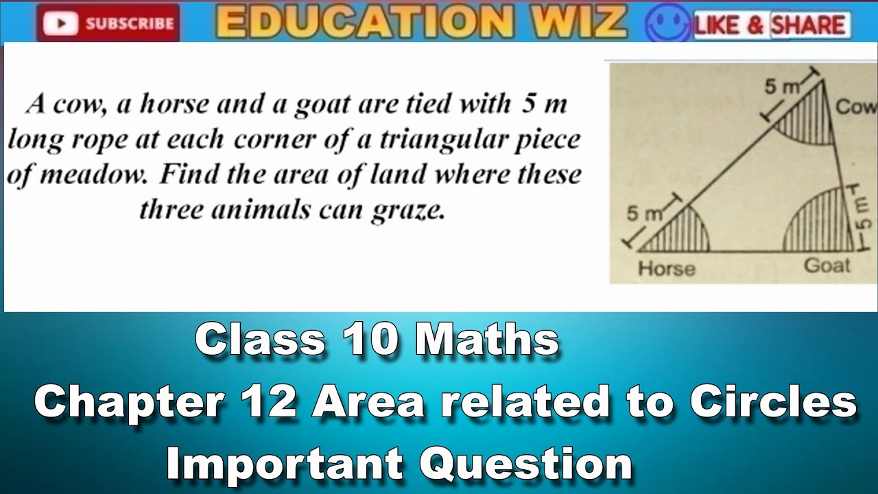A cow, a horse and a goat are tied with 5 m long rope at each corner of ...