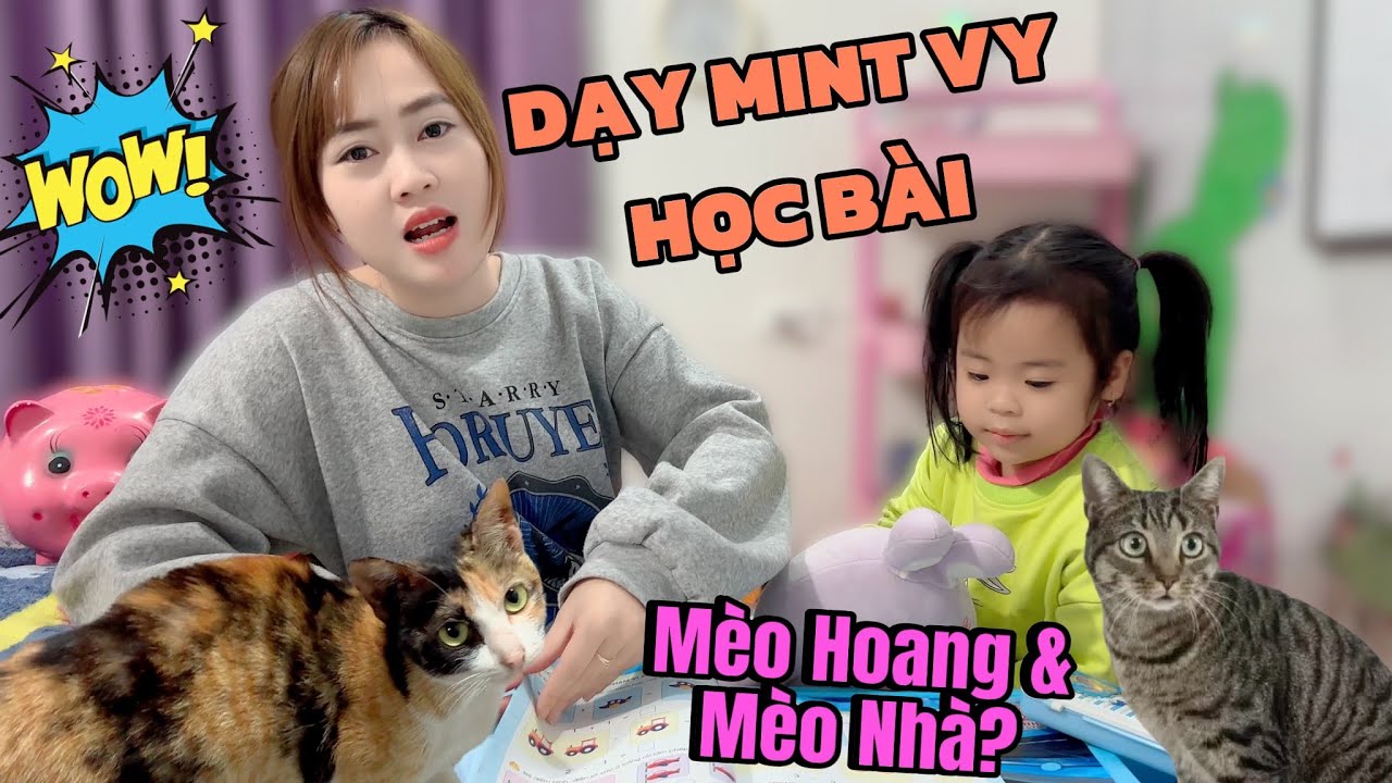 Một Buổi Tối Của Mẹ Hà Hà Hí Và Em Mint Vy Sẽ Làm Những Gì? I Hà Hà Hí ...
