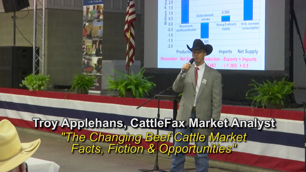 CATTLE FAX Troy Applehans April 2016 - YouTube