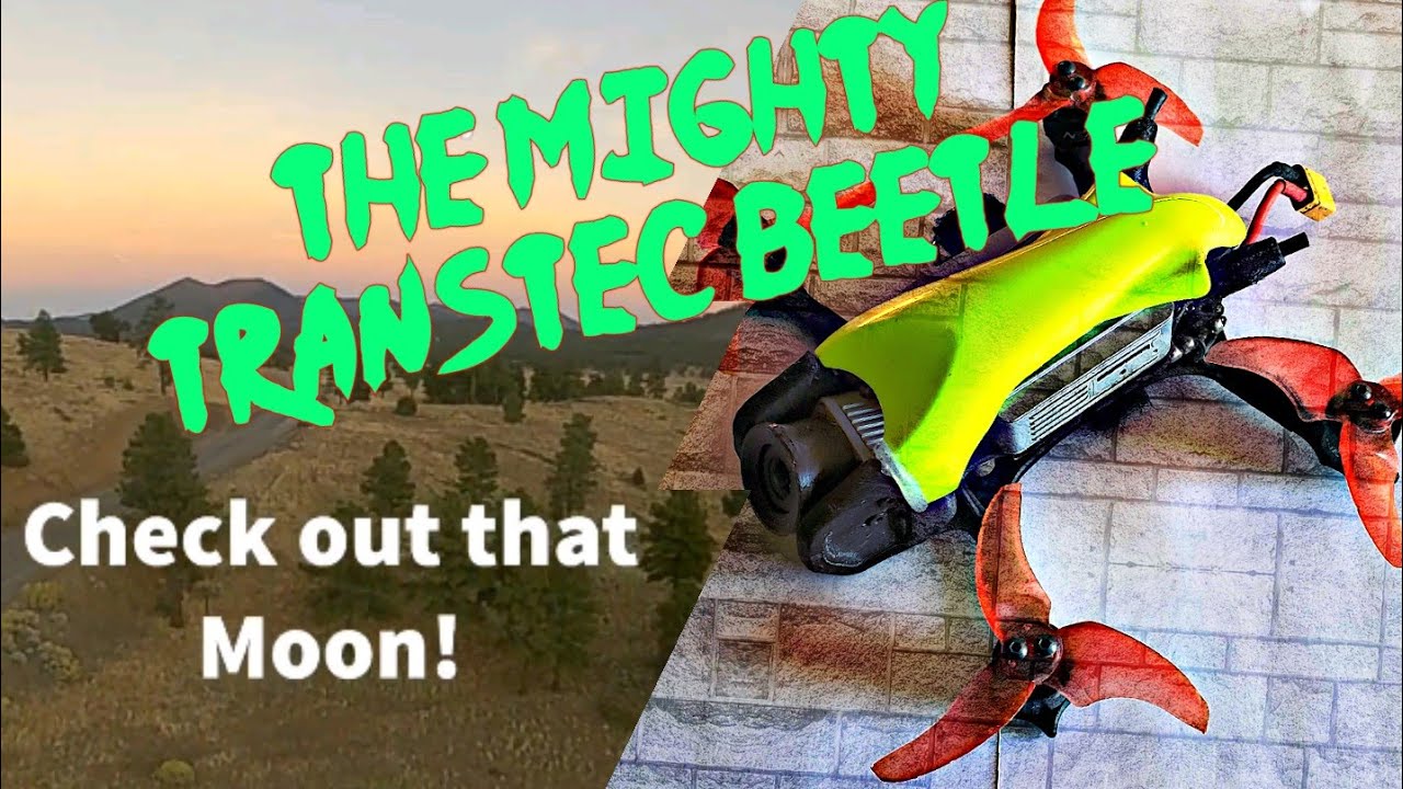 TransTec Beetle fun, dji fpv - YouTube