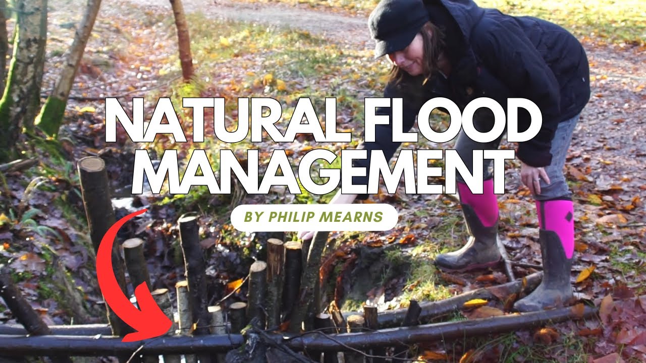 Natural Flood Management - YouTube