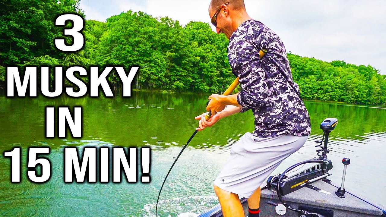 I Caught a Musky FIRST CAST! THEN 3 More in 15min! (INSANE) - YouTube