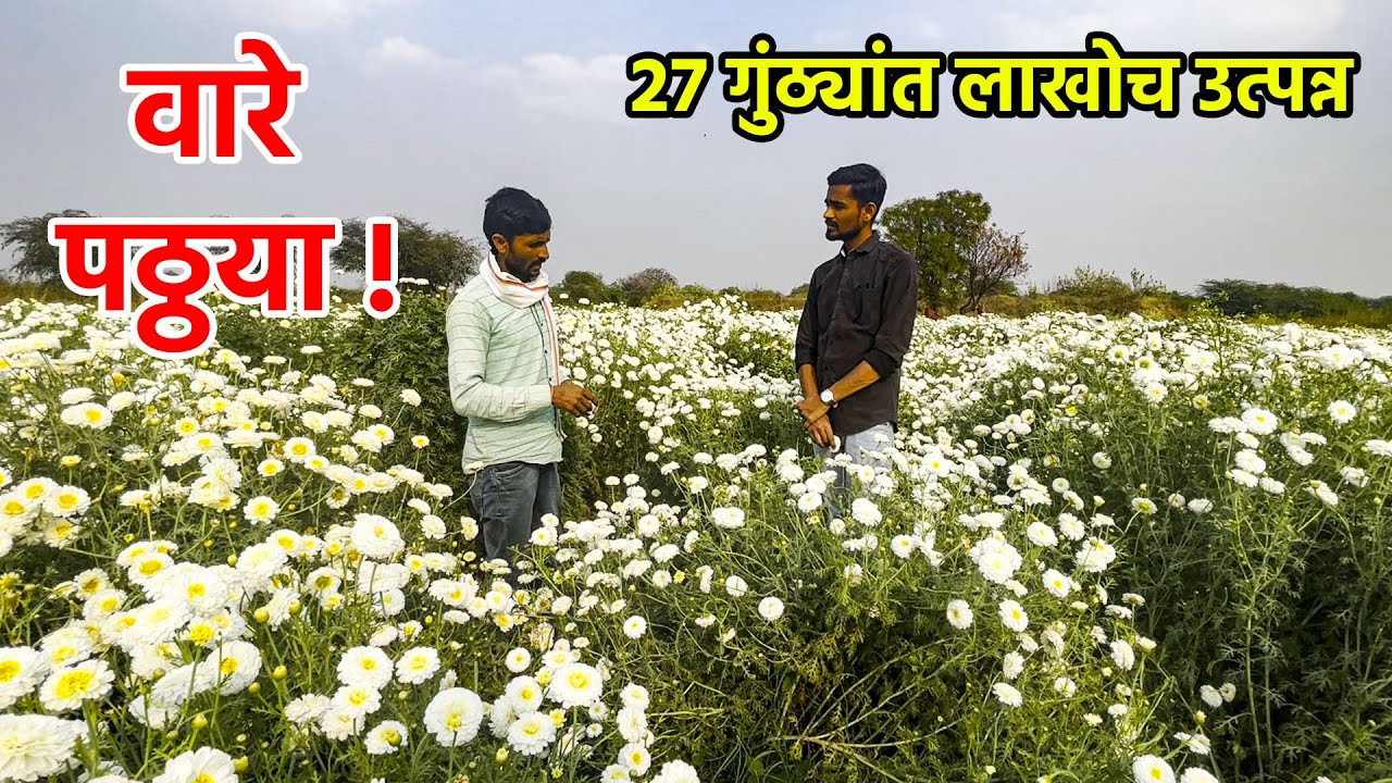 Galanda Flower Information In Marathi | Best Flower Site