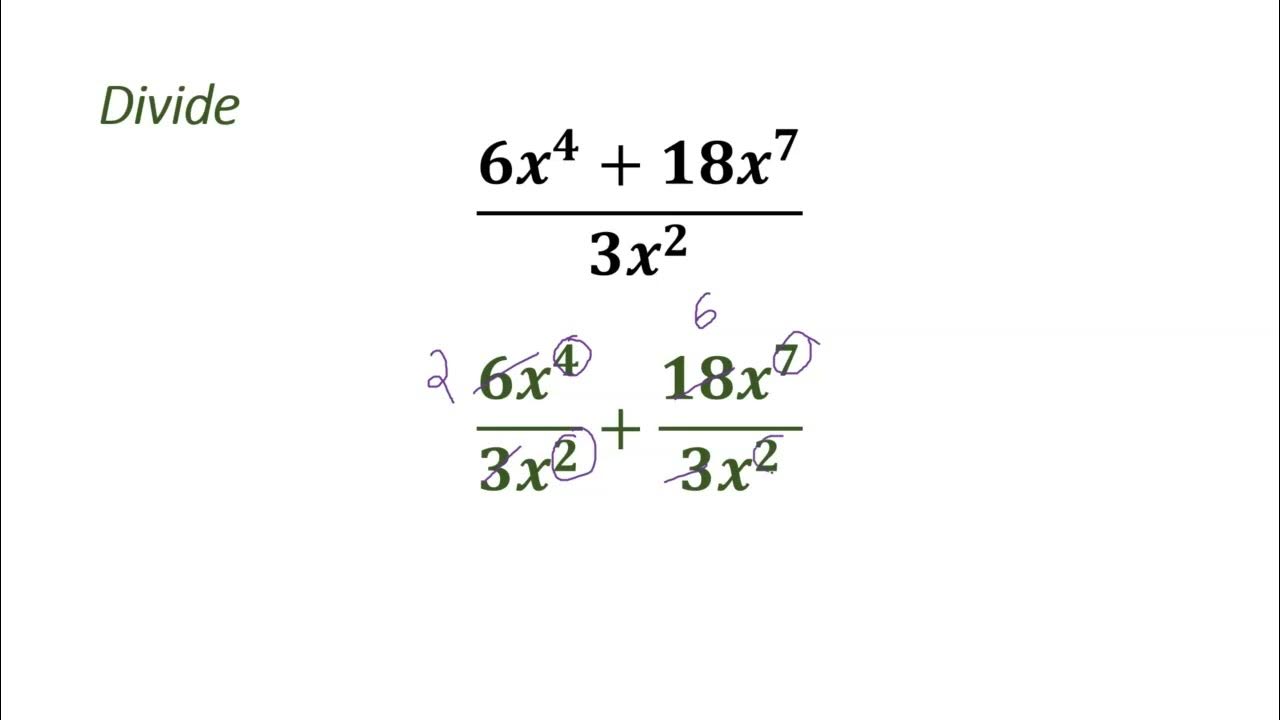 Dividing Polynomial by Monomial - YouTube