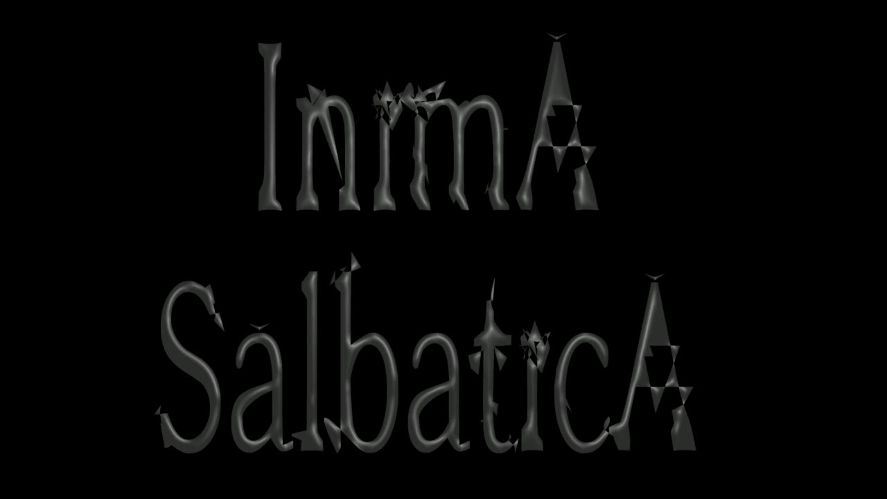 Inima Salbatica - Saint Tropez (Florin Salam cover) - YouTube