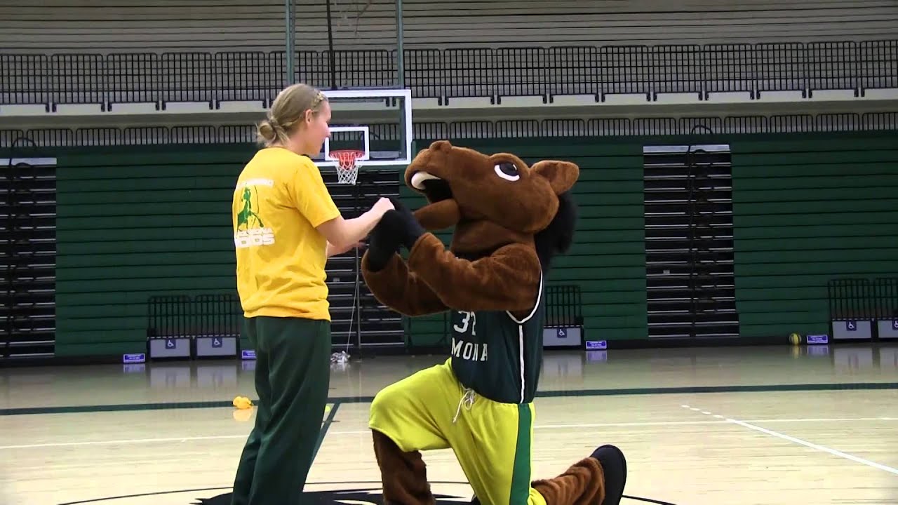 Be the Horse, Be the Legend, Be Billy Bronco | #FearTheHerd - YouTube