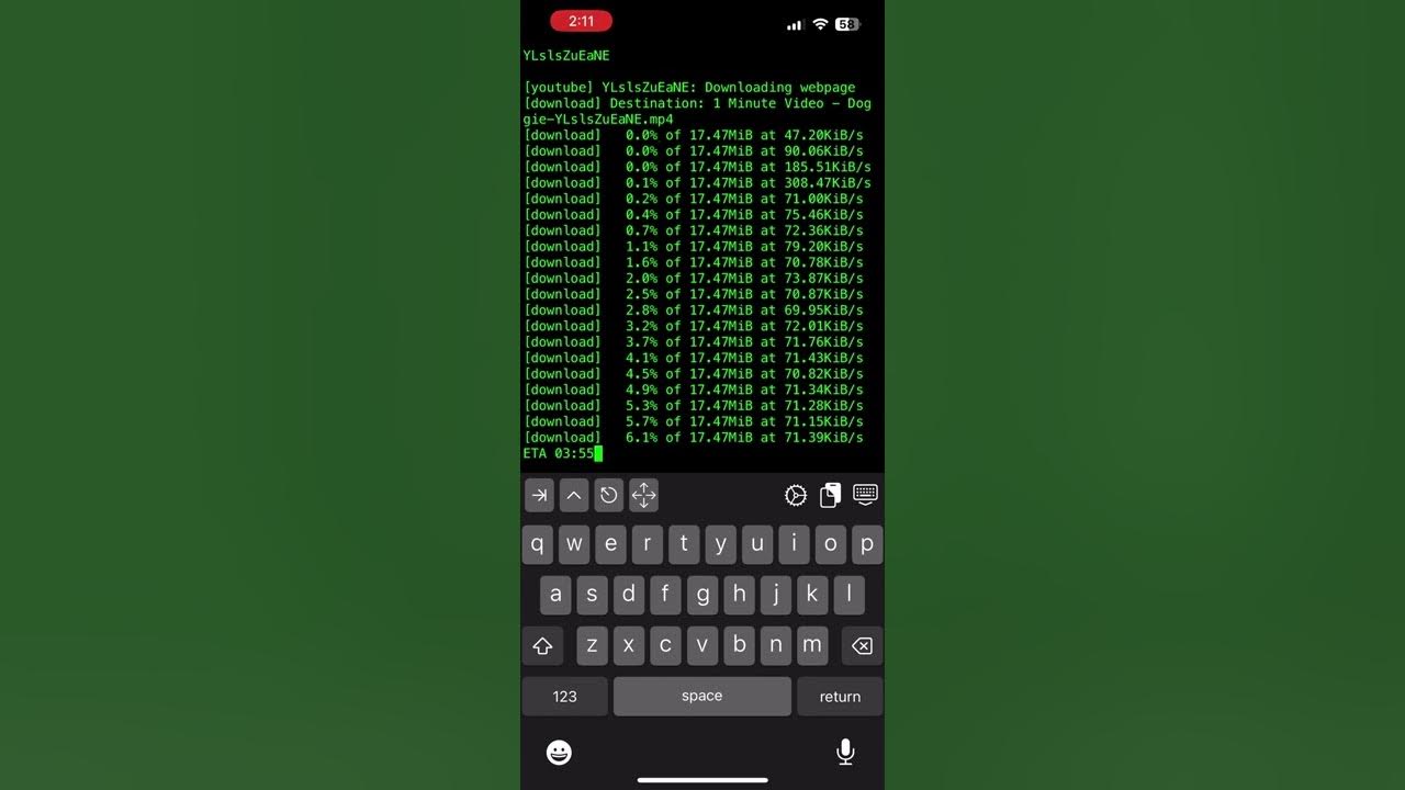 Downloading YT Videos using iSH Shell on iOS🫣 - YouTube