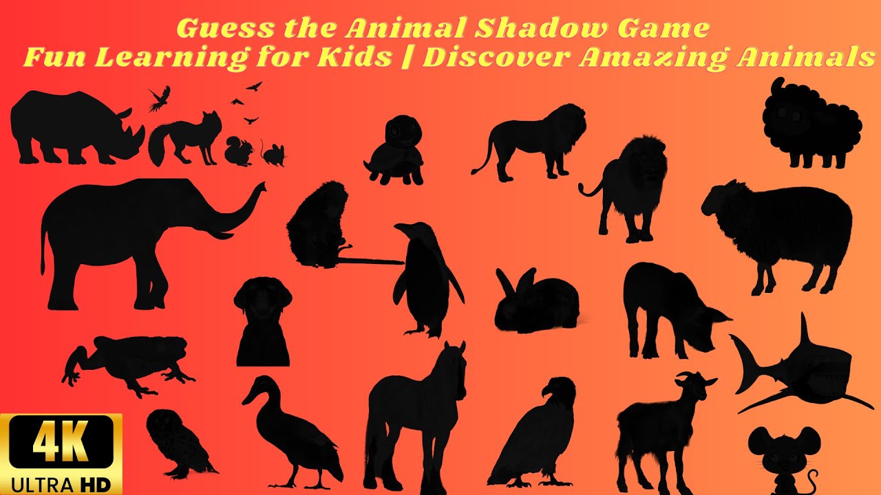 Guess the Animal Shadow Game | Fun Learning for Kids | Discover Amazing ...