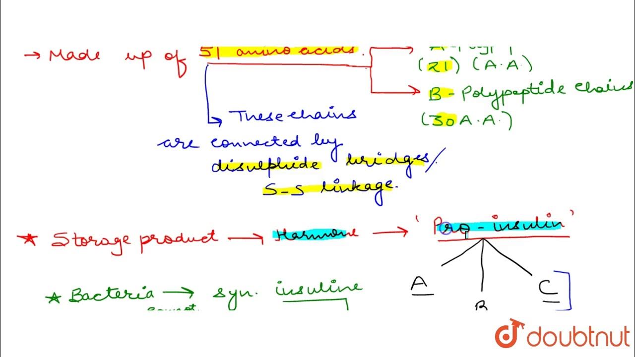 GENETICALLY ENGINEERED INSULIN - YouTube