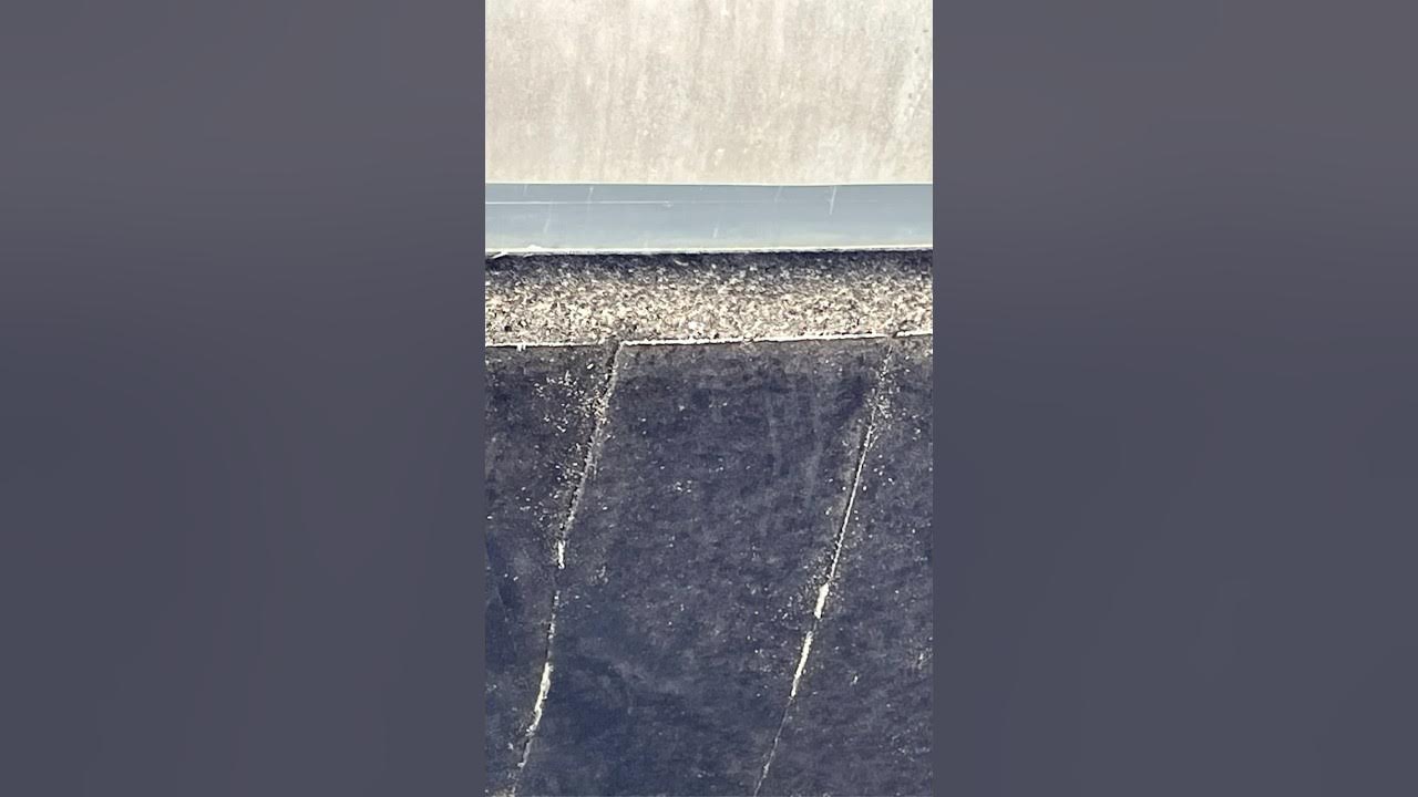 solo exhibition simon haringa 'arzal' - YouTube