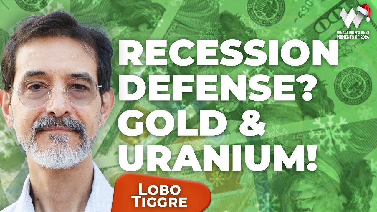 Wealthion’s Best Of 2024: Lobo Tiggre - YouTube