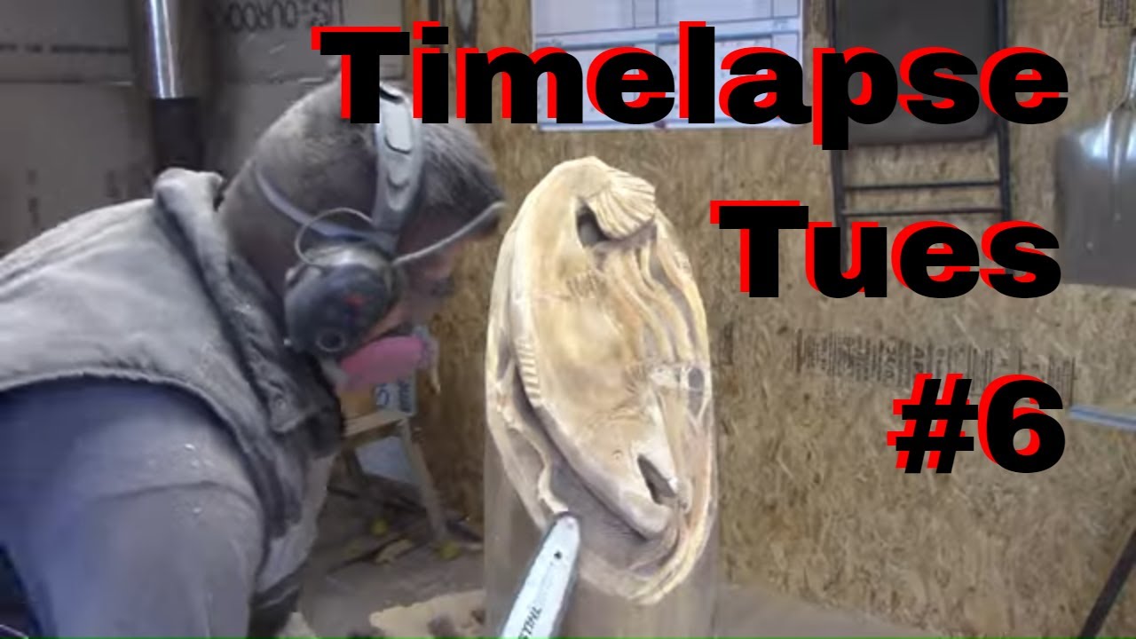 Timelapse Tuesday #6 The Derpy Fish - YouTube
