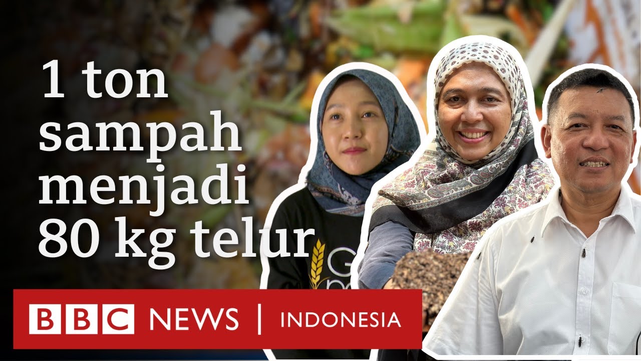 World Food Day: 'Dari mubazir jadi cuan' karena selamatkan sampah sisa ...