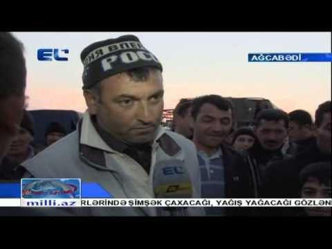 AGCEBEDI HEYVAN BAZARLARINDA CANLANMA VAR