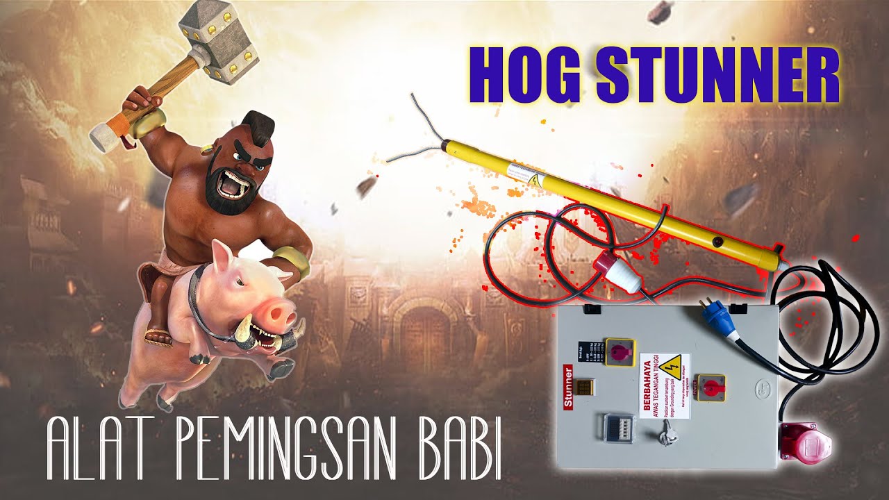 ALAT PEMINGSAN BABI - ELECTRIC HOG STUNNER - ALAT SETRUM BABI - YouTube