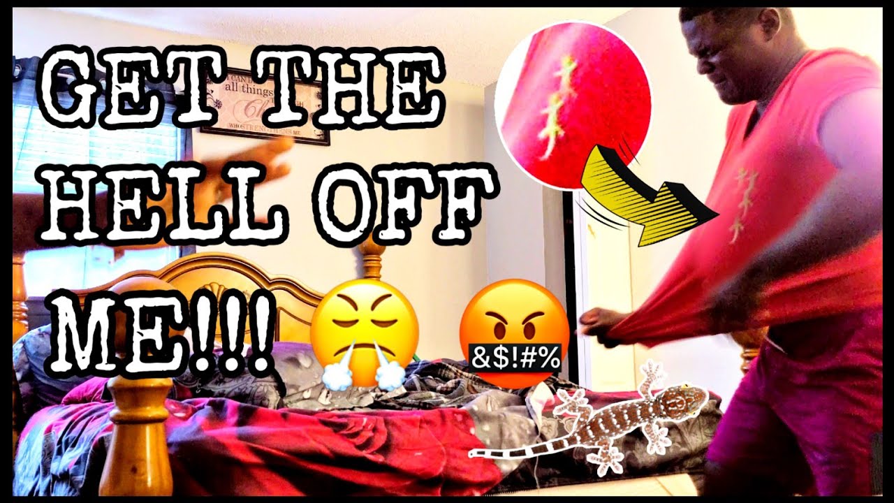 Lizard Prank | He Never Knew This Would Reach Him | Best Reaction Ever ...