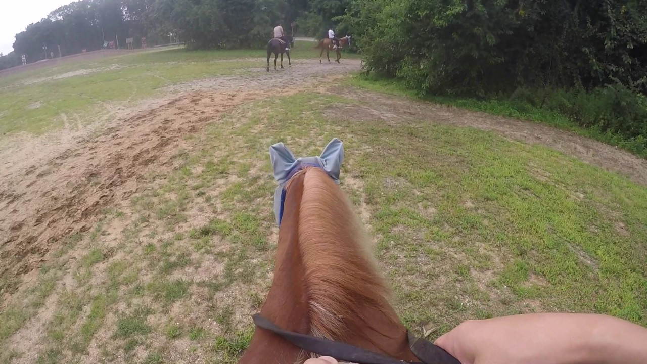 Horseback Riding - YouTube