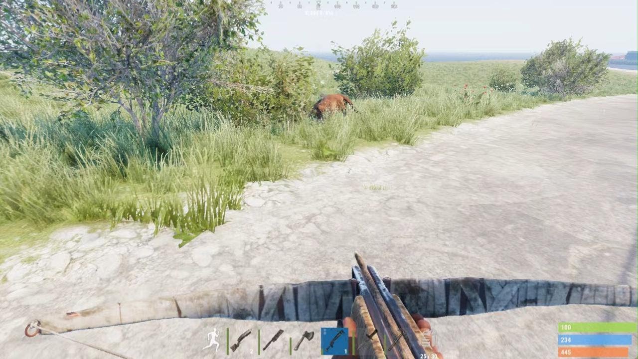 Rust what the boar doing - YouTube