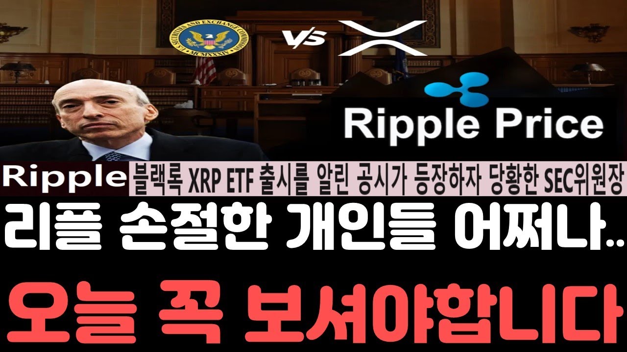 리플전망 리플 Sec 블랙록 Xrp Etf 출시를 알린 소식에 당황한 Sec위원장 오늘 영상은 꼭 보셔야합니다 리플전망 리플호재 리플급등 리플코인 리플소송