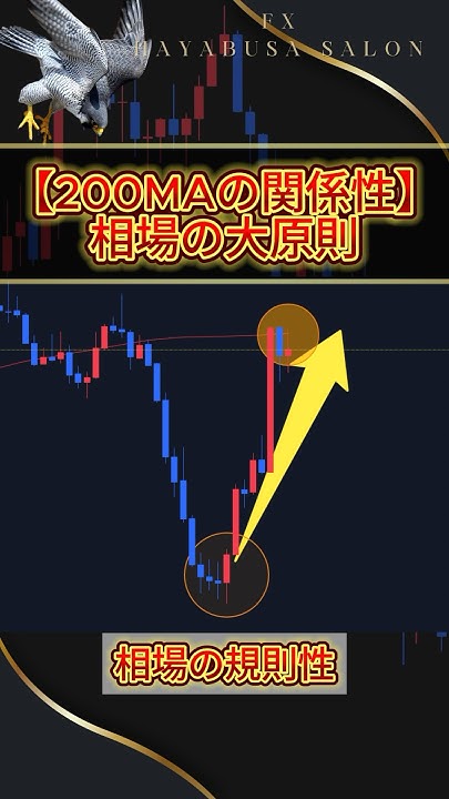【200MAの関係性】相場の大原則 #FX #fx #USDJPY #usdjpy #お金 #資産運用 #FX勉強 #fx勉強 #fx勉強おすすめ #GOLD #gold #利上げ - YouTube