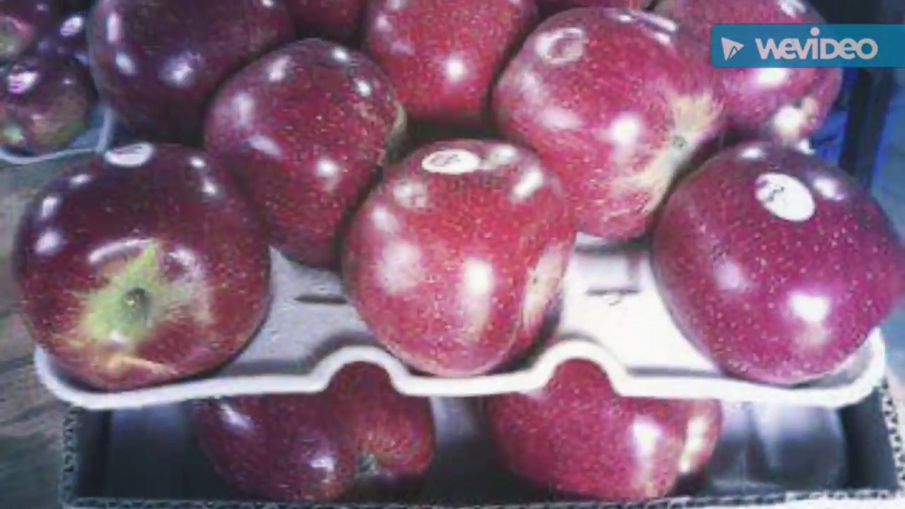 Maraog village himachal pradesh - YouTube