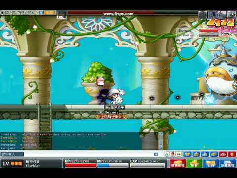 MapleStory TWMS NightWalker Dodo Solo - YouTube