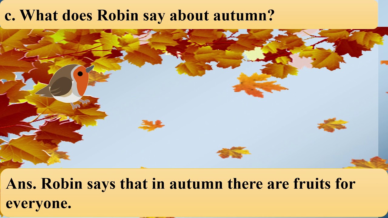 Robin, Comprehension Q / A - YouTube