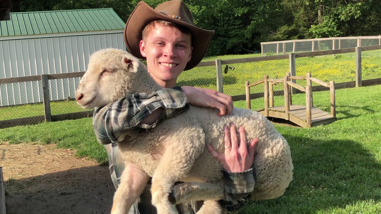 Music Video Connor Coles, Nick Woodburn, Luke Shinn, Mason Ogren - YouTube