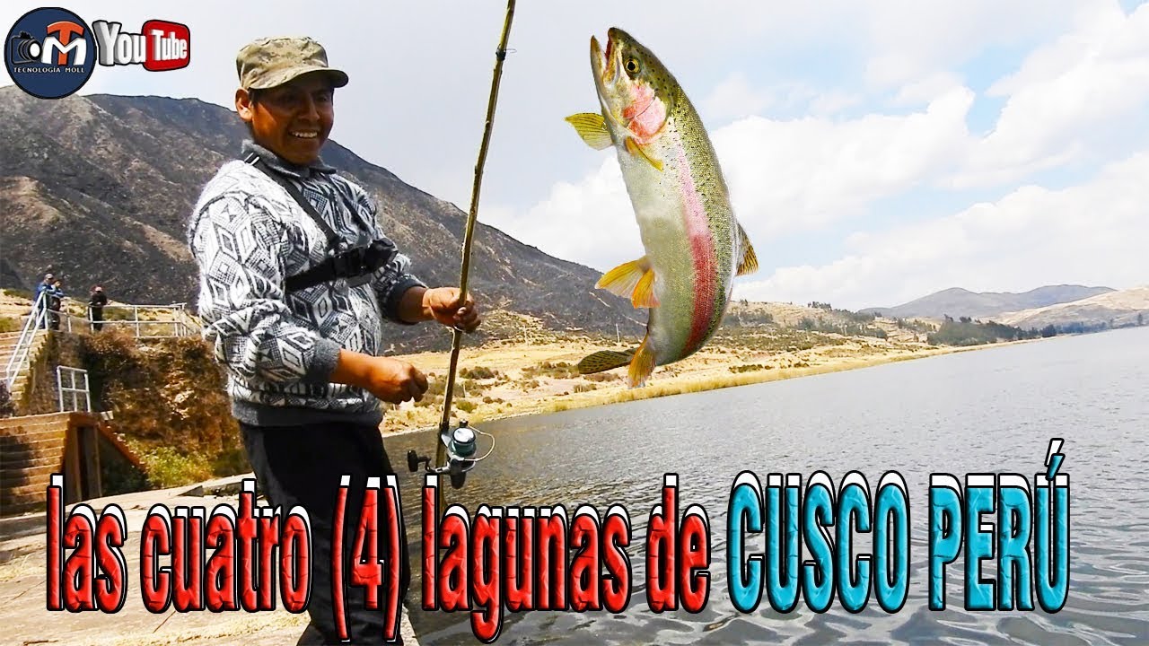 PESCANDO EN LAS 4 LAGUNAS DE CUSCO PERÚ - FISHING CUSCO - YouTube