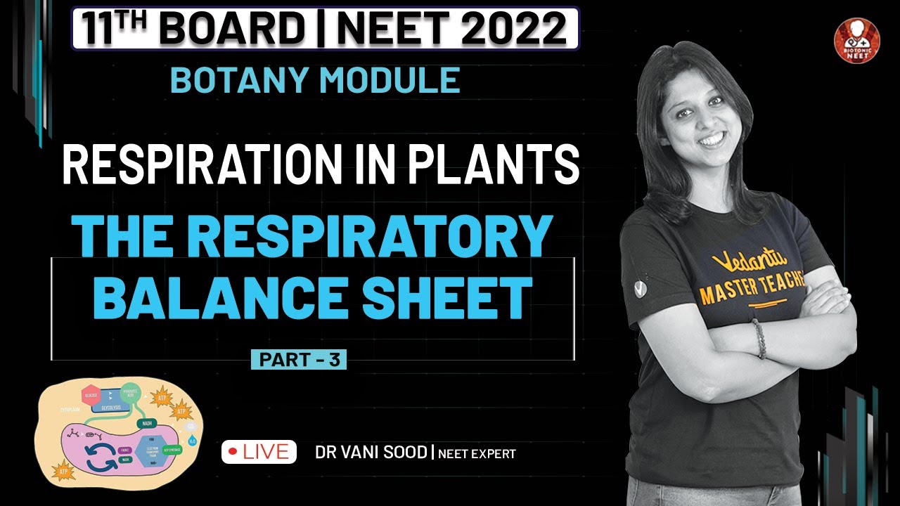 Respiration In Plants 03 The Respiratory Balance Sheet Class 11 Respiration In Plants 03 The Respiratory Balance Sheet Class 11