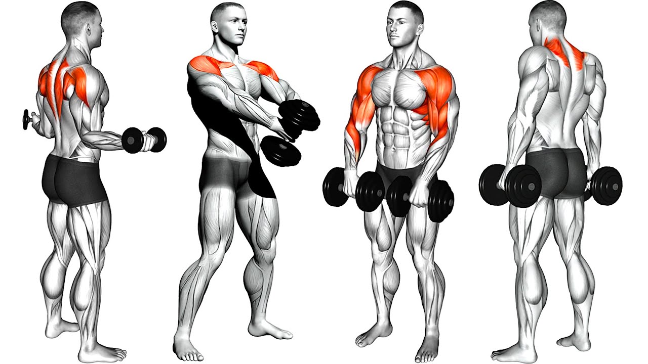 Powerful Shoulder and Back Muscles: 7 Effective Exercises - YouTube