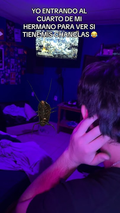 Cuando Entro Al Cuarto De Mi Hermano Hermanos Amigos Comedia