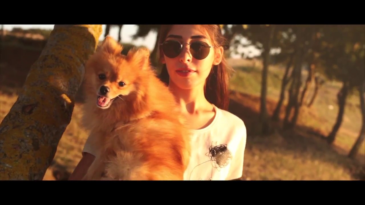 Kanduras Animal Art - YouTube